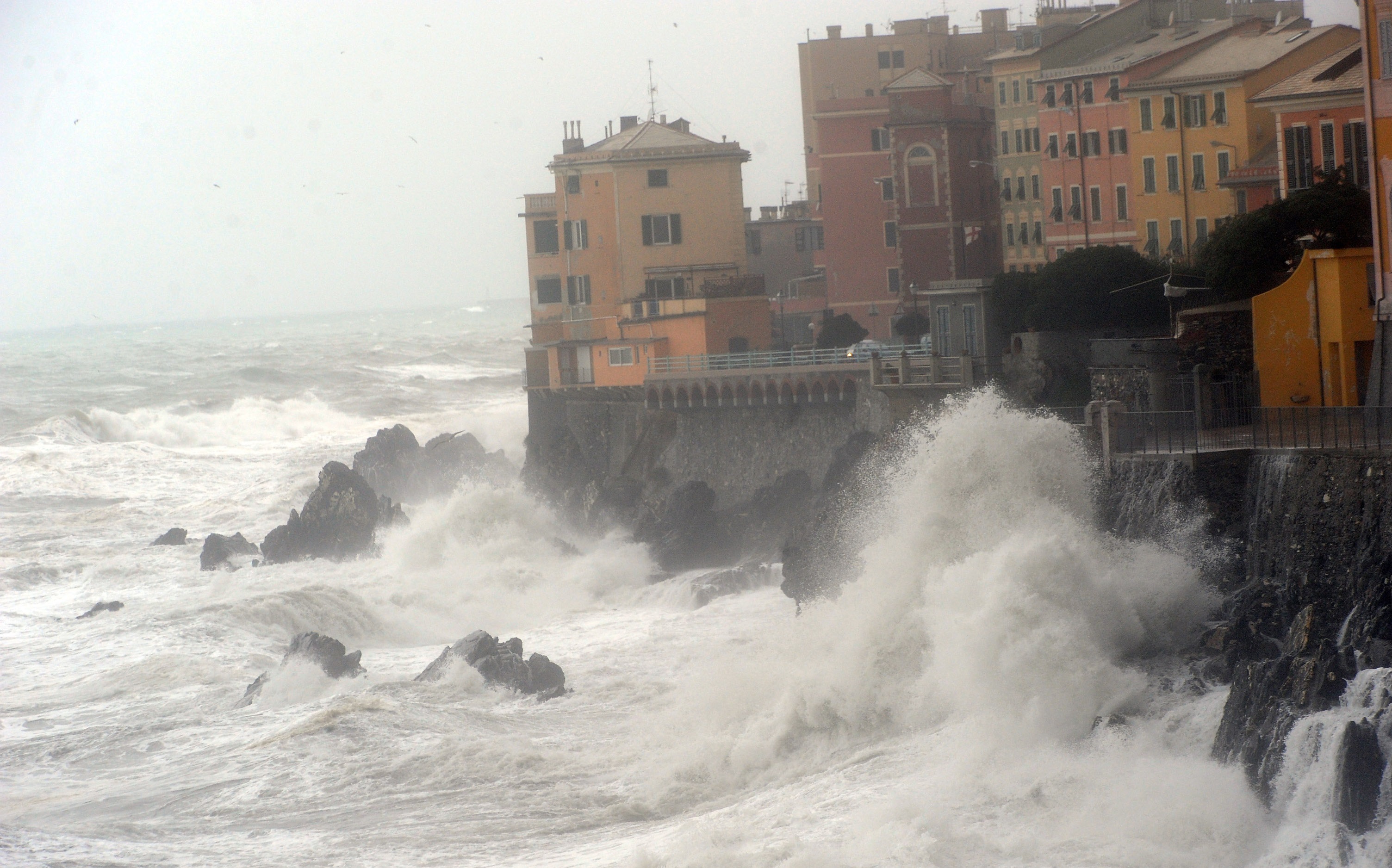Vento forte a Napoli, paura tra alberi e cornicioni caduti - Napoli ZON