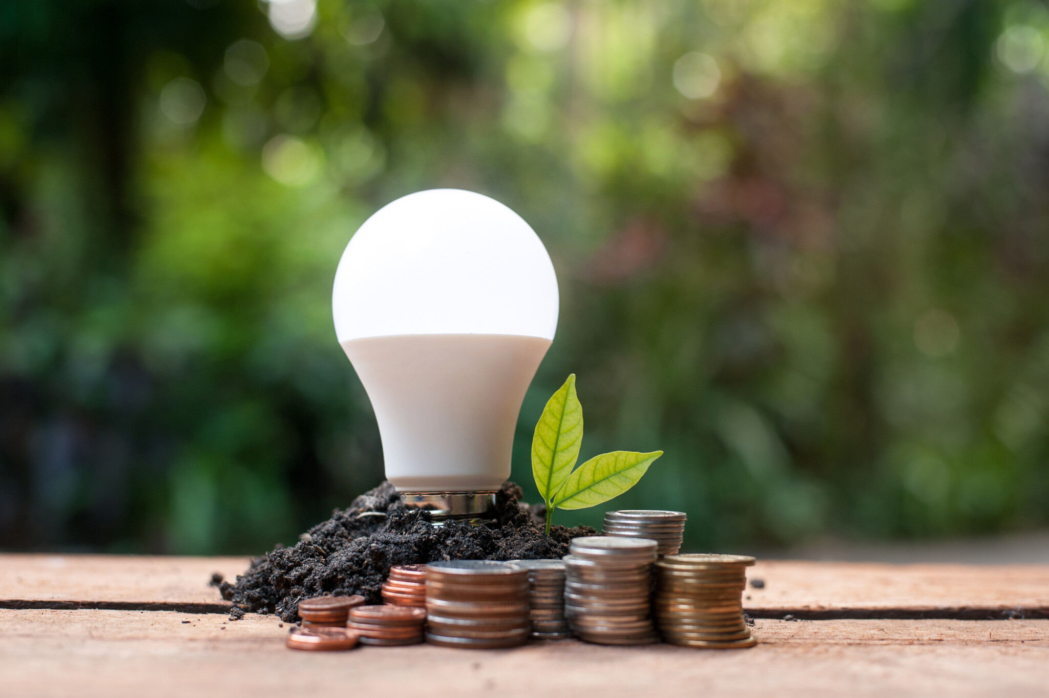 Come risparmiare energia elettrica: i consigli utili per la bolletta Come risparmiare energia elettrica: i consigli utili per la bolletta